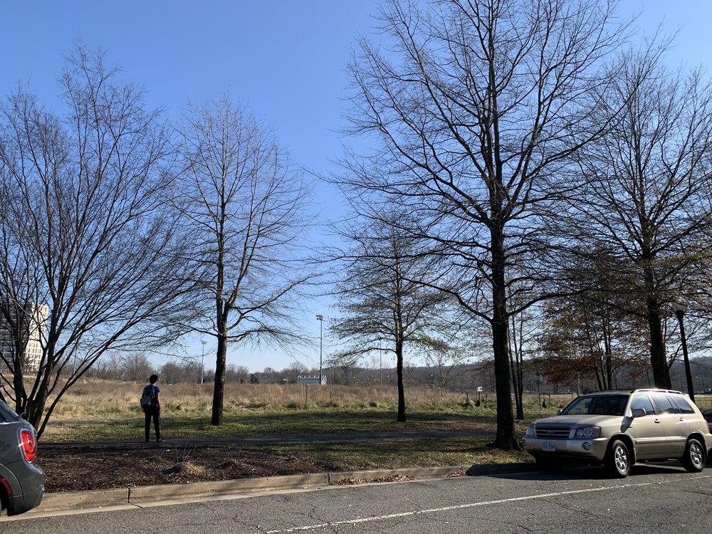 BEN BRENMAN PARK - 126 Photos & 45 Reviews - 4800 Brenman Park Dr ...