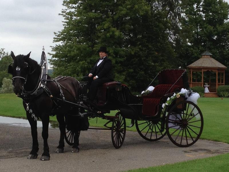 TOP HATS & TAILS CARRIAGE - Updated January 2026 - Ortonville, Michigan ...