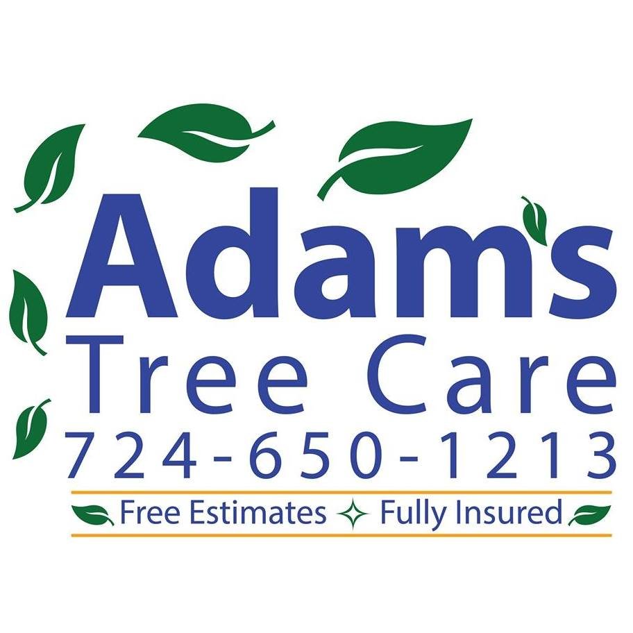 ADAM’S TREE CARE - Updated December 2025 - Butler, Pennsylvania - Tree ...
