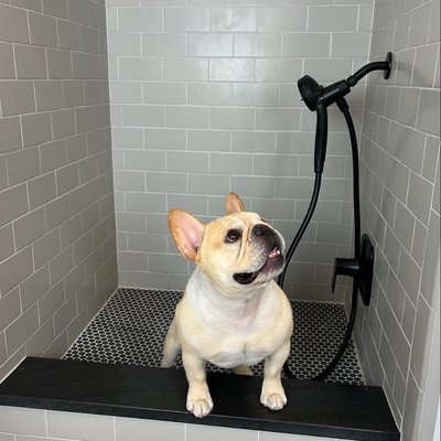 AMERICA’S FLOOR SOURCE - COLUMBUS EAST - Updated November 2025 - 34 ...