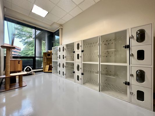 GIVING TREE PET RESORT - Updated January 2026 - 38 Photos & 22 Reviews ...