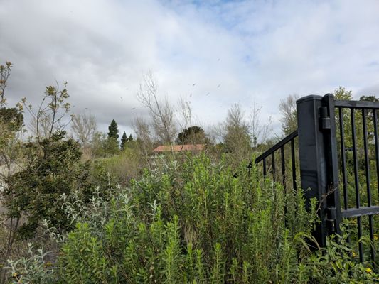 HASTER BASIN PARK - Updated January 2025 - 60 Photos & 26 Reviews ...