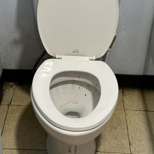 PENNY PINCHER - Updated May 2025 - 50 Reviews - 2401 W Van Buren St ...