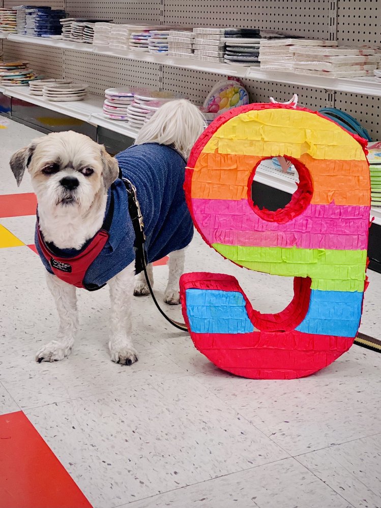 DIDDAMS PARTY AND TOY - Updated August 2025 - 92 Photos & 129 Reviews ...