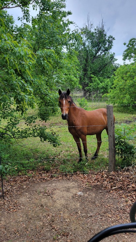 NORTHLAKE RV RESORT - Updated October 2025 - 60 Photos & 21 Reviews ...