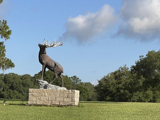 FLORIDA ELKS YOUTH CAMP - Updated October 2025 - 39 Photos - 24175 SE ...