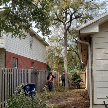 THE TREE MAN - Updated November 2025 - 30 Photos & 95 Reviews - Austin ...