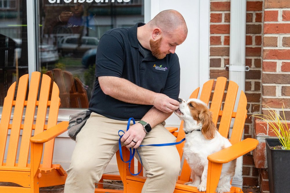 FROLICK DOGS - Updated October 2025 - 57 Photos & 72 Reviews - 3208 ...