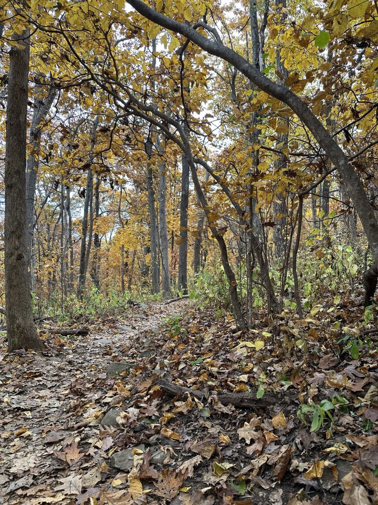 HUMPBACK ROCKS - Updated October 2025 - 165 Photos & 43 Reviews - Blue ...