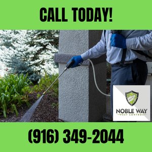 FAST ACTION PEST CONTROL - Updated December 2025 - 137 Photos & 756 ...