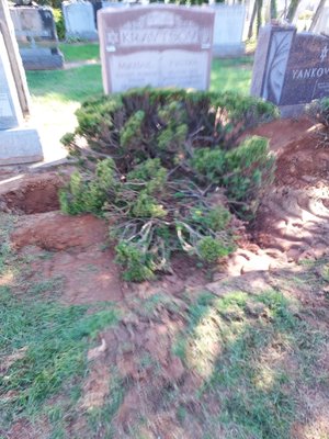 BETH ISRAEL CEMETERY - Updated April 2026 - 38 Photos & 35 Reviews ...