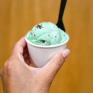 PAZZO GELATO - Updated July 2024 - 766 Photos & 1025 Reviews - 3827 W ...