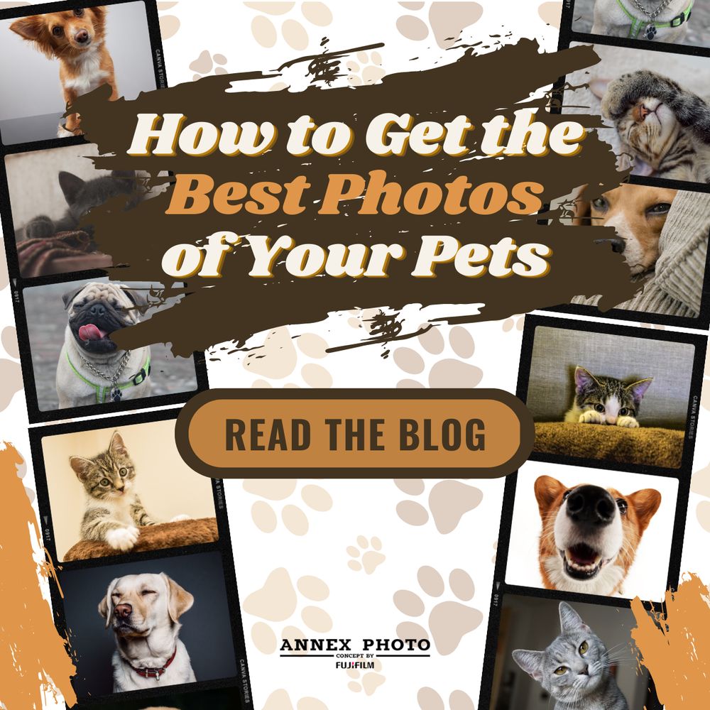 ANNEX PHOTO CONCEPT BY FUJIFILM - Updated January 2026 - 69 Photos & 33 ...