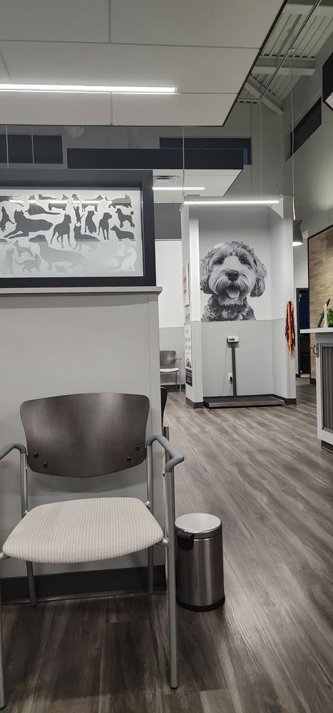 ANIMAL EMERGENCY AND SPECIALTY HOSPITAL OF BYRON CENTER - Updated July ...