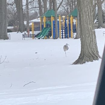 HOWELL NATURE CENTER - Updated December 2025 - 51 Photos & 30 Reviews ...