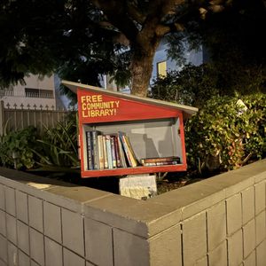 LITTLE FREE LIBRARY - Updated January 2025 - 14 Photos - 12952 Huston ...