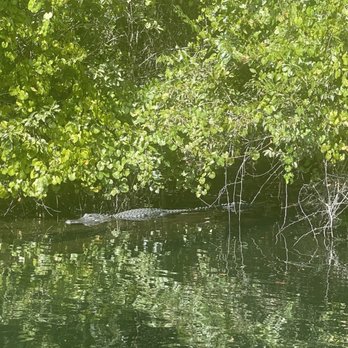 KING’S LANDING - 380 Photos & 172 Reviews - 5722 Baptist Camp Rd ...