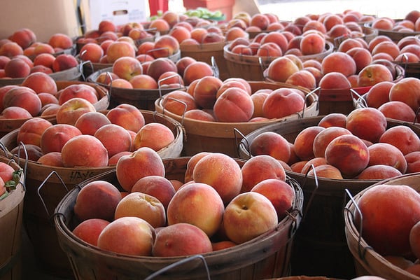 PALISADE PEACH FESTIVAL - Updated October 2025 - 30 Photos & 10 Reviews ...