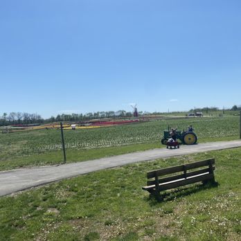 FUN FARM PUMPKIN PATCH - Updated October 2024 - 72 Photos & 39 Reviews ...