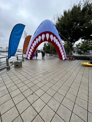 PIER 84 - Updated May 2025 - 82 Photos & 24 Reviews - Pier 84, W 44 St ...