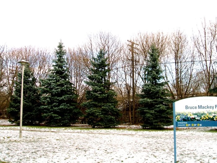 BRUCE MACKEY PARK - Updated September 2024 - 55 Wardell St, Toronto ...
