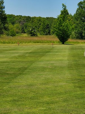 HUDSON MILLS METROPARK GOLF COURSE - Updated December 2025 - 10 Photos ...