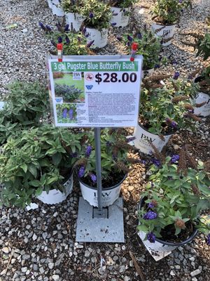 GROWER’S OUTLET - Updated April 2025 - 65 Photos & 96 Reviews - 159 ...