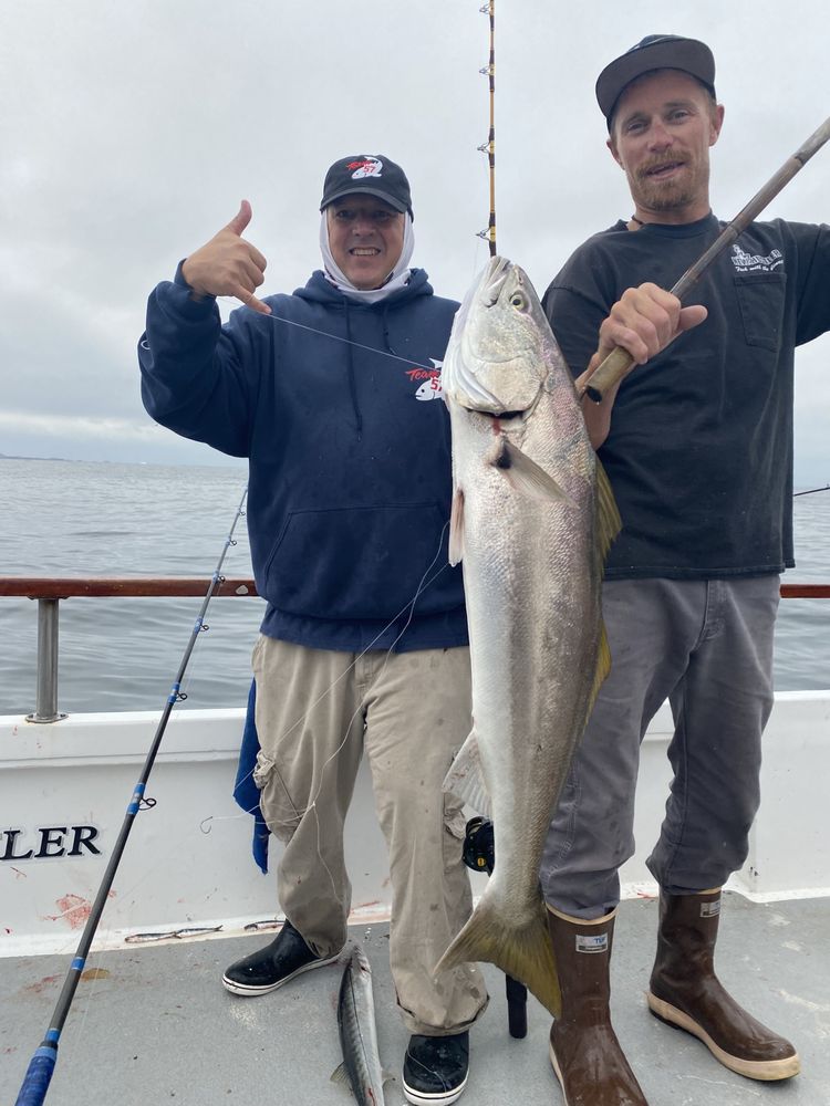 NEW HUSTLER SPORTFISHING - Updated November 2024 - 10 Photos - 3600 ...