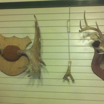 CHELSEA INN HOTEL - Updated July 2025 - 15 Photos & 14 Reviews - 3836 ...