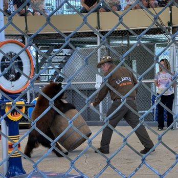 CLARK’S TRADING POST - Updated September 2025 - 205 Photos & 167 ...