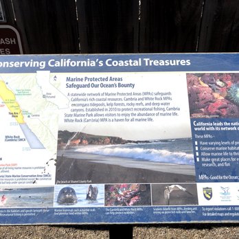 SHAMEL PARK - Updated December 2025 - 124 Photos & 32 Reviews - 5455 ...