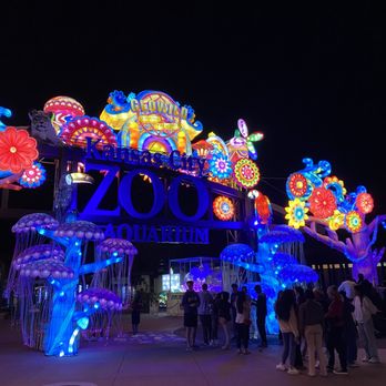 GLO WILD - Updated December 2025 - 96 Photos - 6800 Zoo Dr, Kansas City ...