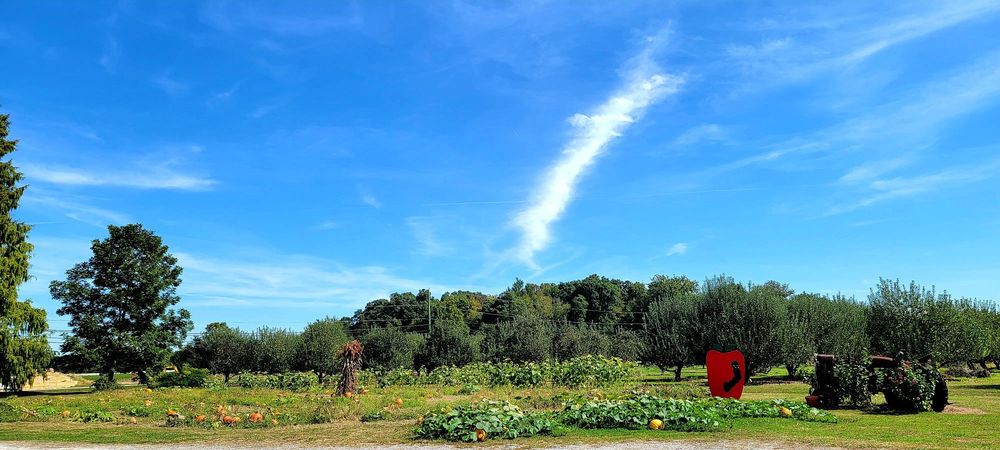 PRINGLES ORCHARD - Updated September 2025 - 11 Photos & 10 Reviews ...