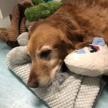 CAVAN HILLS VETERINARY SERVICES - Updated December 2025 - 10 Photos ...