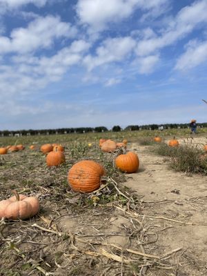 ECKERT’S ORCHARD - Updated September 2025 - 135 Photos & 64 Reviews ...