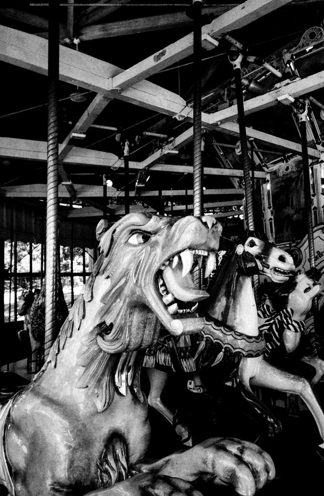 GOLDEN GATE PARK CAROUSEL - 90 Photos & 107 Reviews - 320 Bowling Green ...