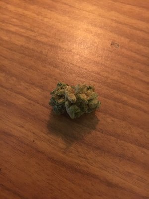 FIRST STATE COMPASSION - WILMINGTON - Updated June 2025 - 25 Photos ...