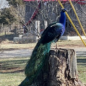 FAIRVIEW BED AND BREAKFAST - Updated December 2025 - 12 Photos & 32 ...