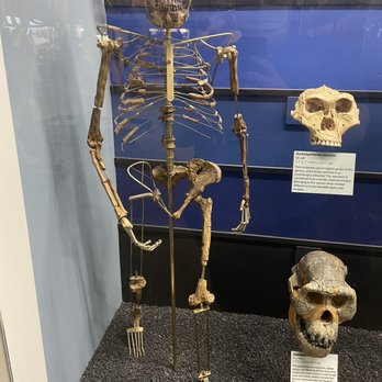 SKELETONS MUSEUM OF OSTEOLOGY - Updated July 2024 - 522 Photos & 148 ...