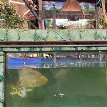 JUNGLE OF NILES OUTLET - Updated November 2025 - 145 Photos & 105 ...