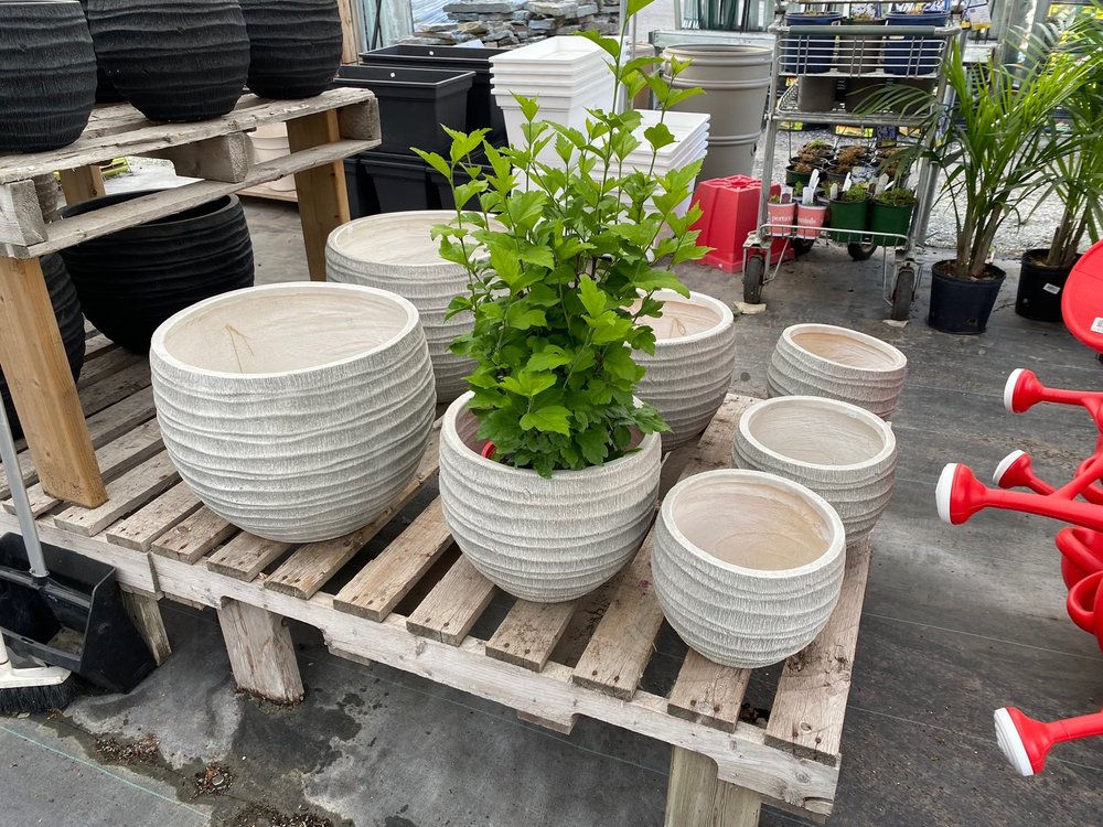 BOTANIX CLOUTIER - Updated January 2026 - 11 Chemin Alonzo Wright ...