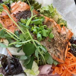 RED FISH BLUE FISH - 1204 Photos & 1326 Reviews - 1006 Wharf Street ...