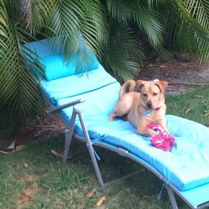 TRI-COUNTY HUMANE SOCIETY OF BOCA RATON - 40 Photos & 100 Reviews ...