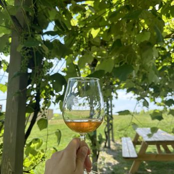 SHADY LANE CELLARS - Updated January 2026 - 106 Photos & 86 Reviews ...