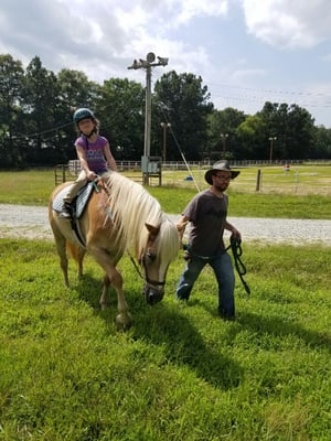 RIDE THE SKY STABLES - Updated January 2026 - 23 Photos - 1804 Cross ...