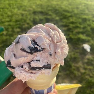 MCCRAY’S FARM AND COUNTRY CREAMERY - Updated December 2025 - 46 Photos ...