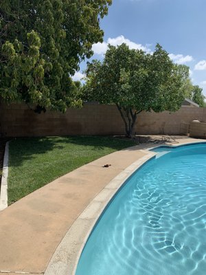 DAVID OLLIS LANDSCAPE DEVELOPMENT - Updated December 2025 - 10 Photos ...