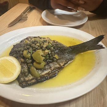 WYNONA - Updated December 2025 - 179 Photos & 70 Reviews - 819 Gerrard ...