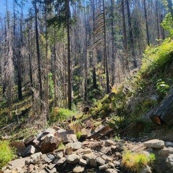 TERWILLIGER HOT SPRINGS - Updated December 2025 - 87 Photos & 53 ...