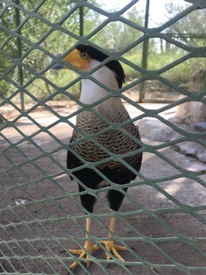 CENTRO ECOLOGICO DE SONORA - Updated September 2024 - Blvd. Xolot ...